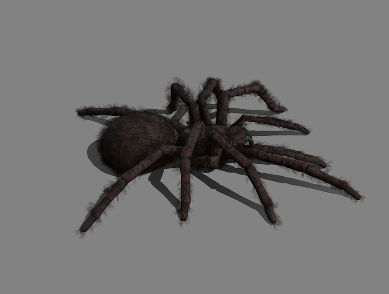 Tarantula with animations by Bugawuga