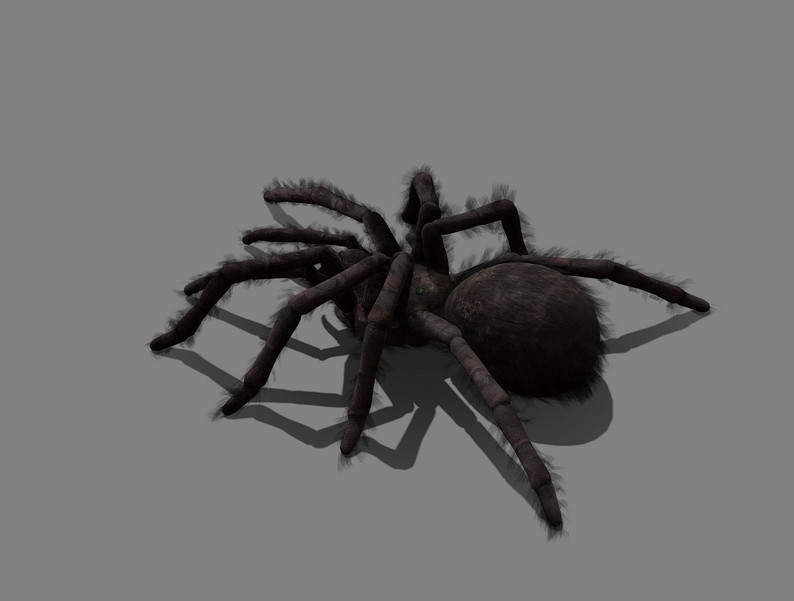Tarantula with animations by Bugawuga
