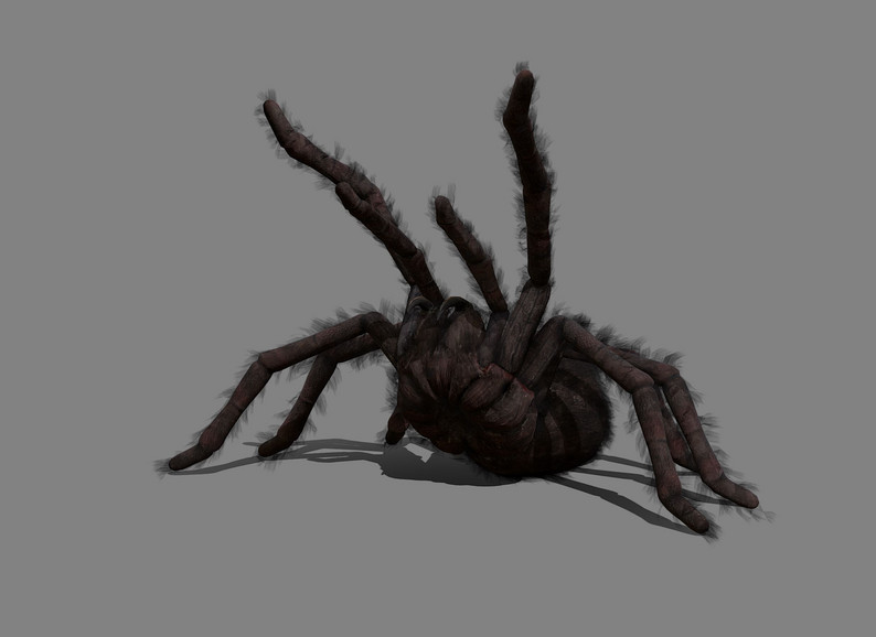 Tarantula with animations by Bugawuga