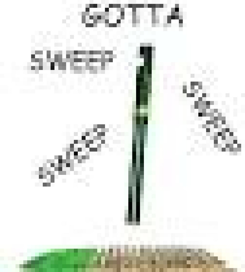 Gotta sweep basics by Groovy Gamer