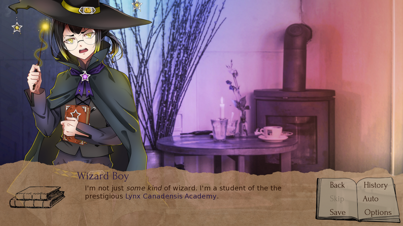 Wizard School Woes by Jane Titor