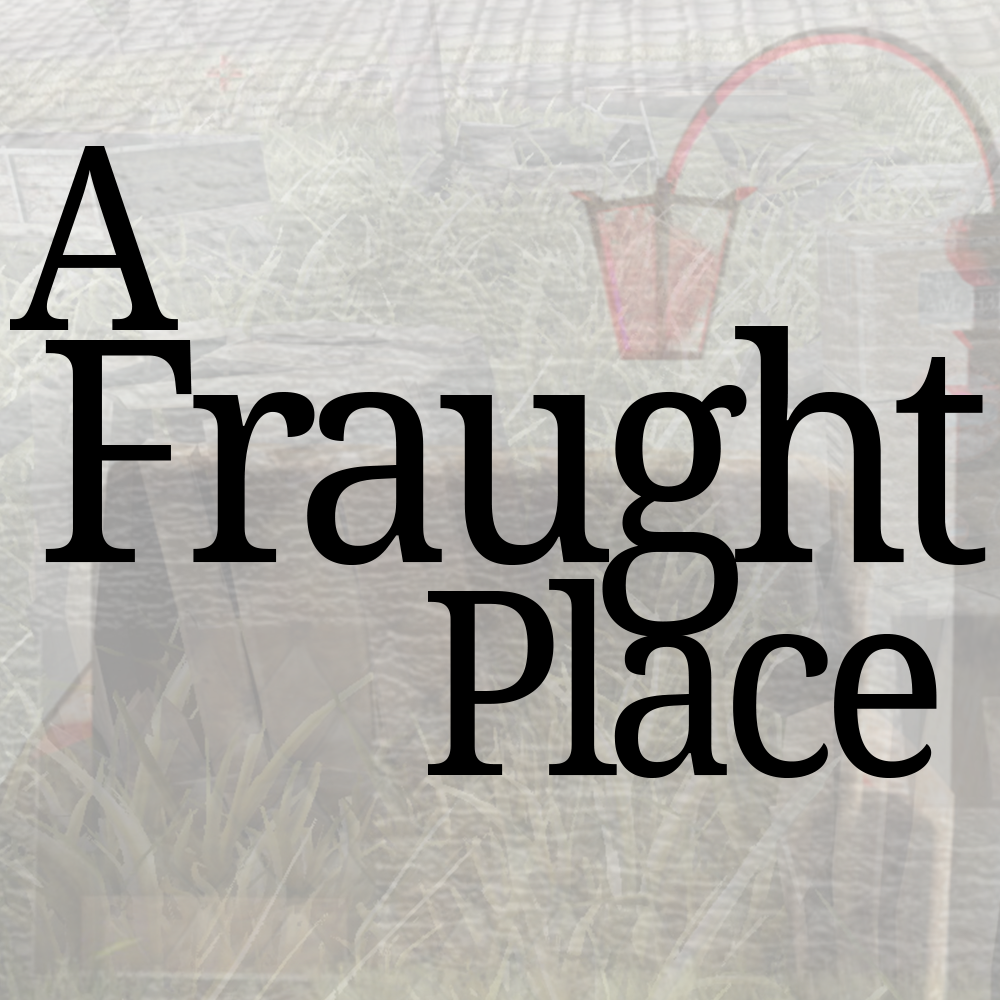 A Fraught Place by catfrob