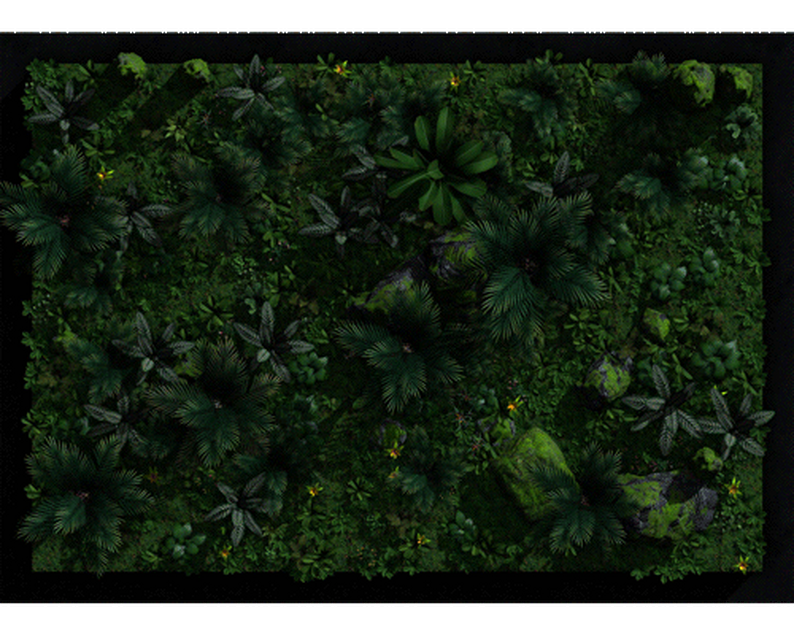 Battle Maps: Jungle Maps for PF2E & other TTRPGs by BasiliskOnline