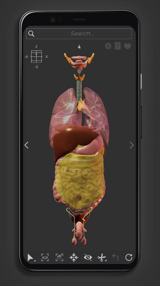 Z-Anatomy - Open Source 3D Atlas by Lluís Vinent