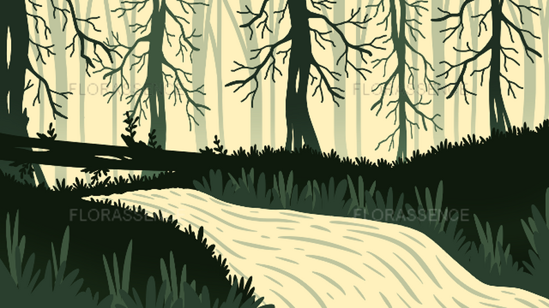 Fantasy Forest-themed Visual Novel/Game Backgrounds Pack by Florassence