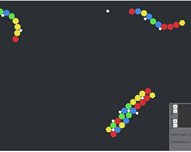 DNA simulator by Spontaneous Simulations