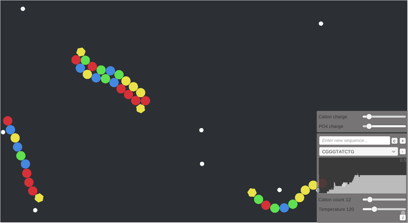 DNA simulator by Spontaneous Simulations