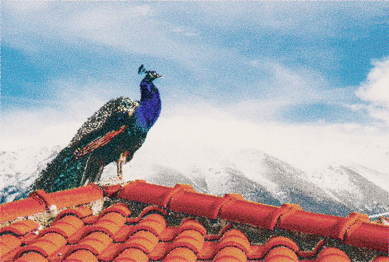 MRMO-Halftone by Mrmo Tarius