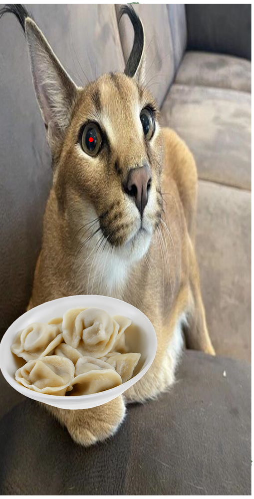 Baldi's Floppa Game by ThatGameplayMaker