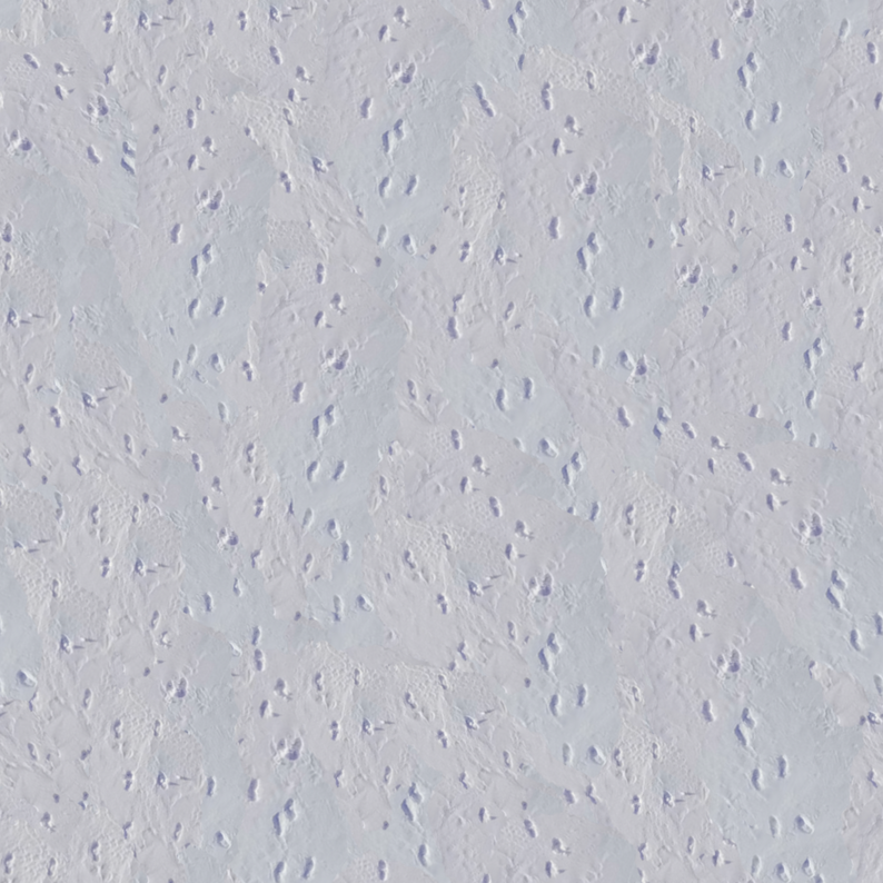 Snow seamless unrepetitive textures by Dandruff