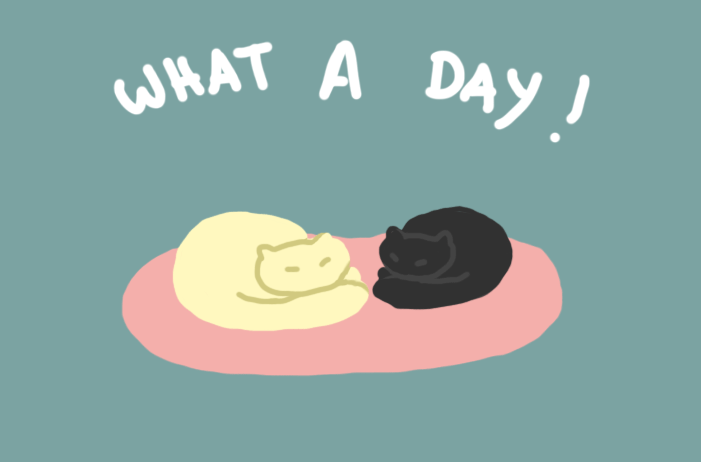 Cat Meowta Here by anacat