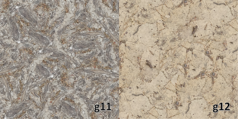 Ground Seamless unrepetitive textures by Dandruff