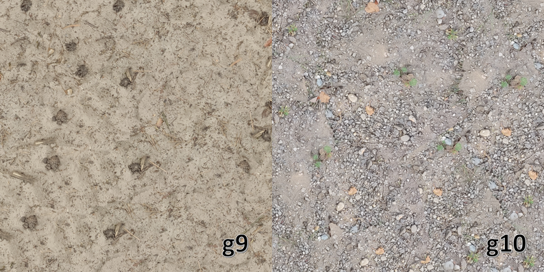 Ground Seamless unrepetitive textures by Dandruff