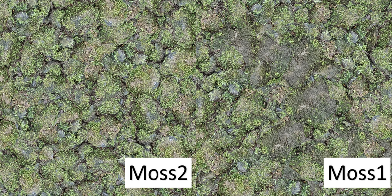 Ground seamless textures by Dandruff