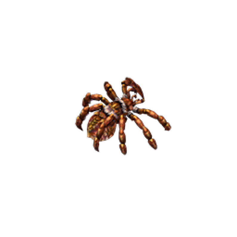 Free Animated Isometric Spider by Engvee