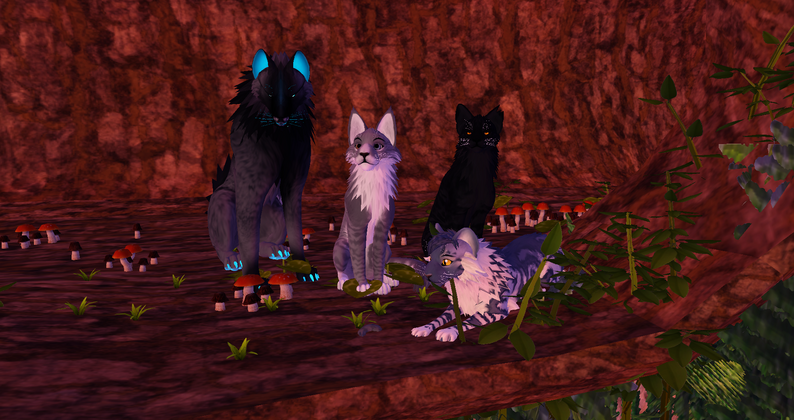 FeralHeart Unleashed by FeralHeart Unleashed, xTosca, alpha-eclipse