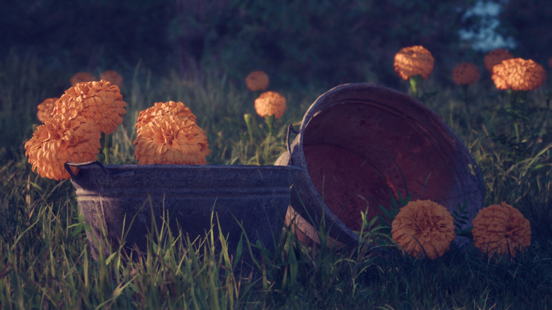 Petals by Petals Game