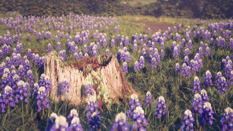 Petals by Petals Game