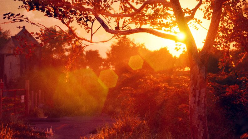 Petals by Petals Game