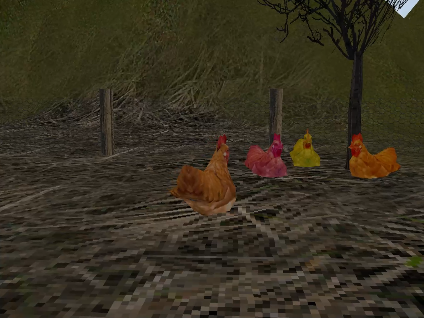 Chicken Life Sim by Litrix