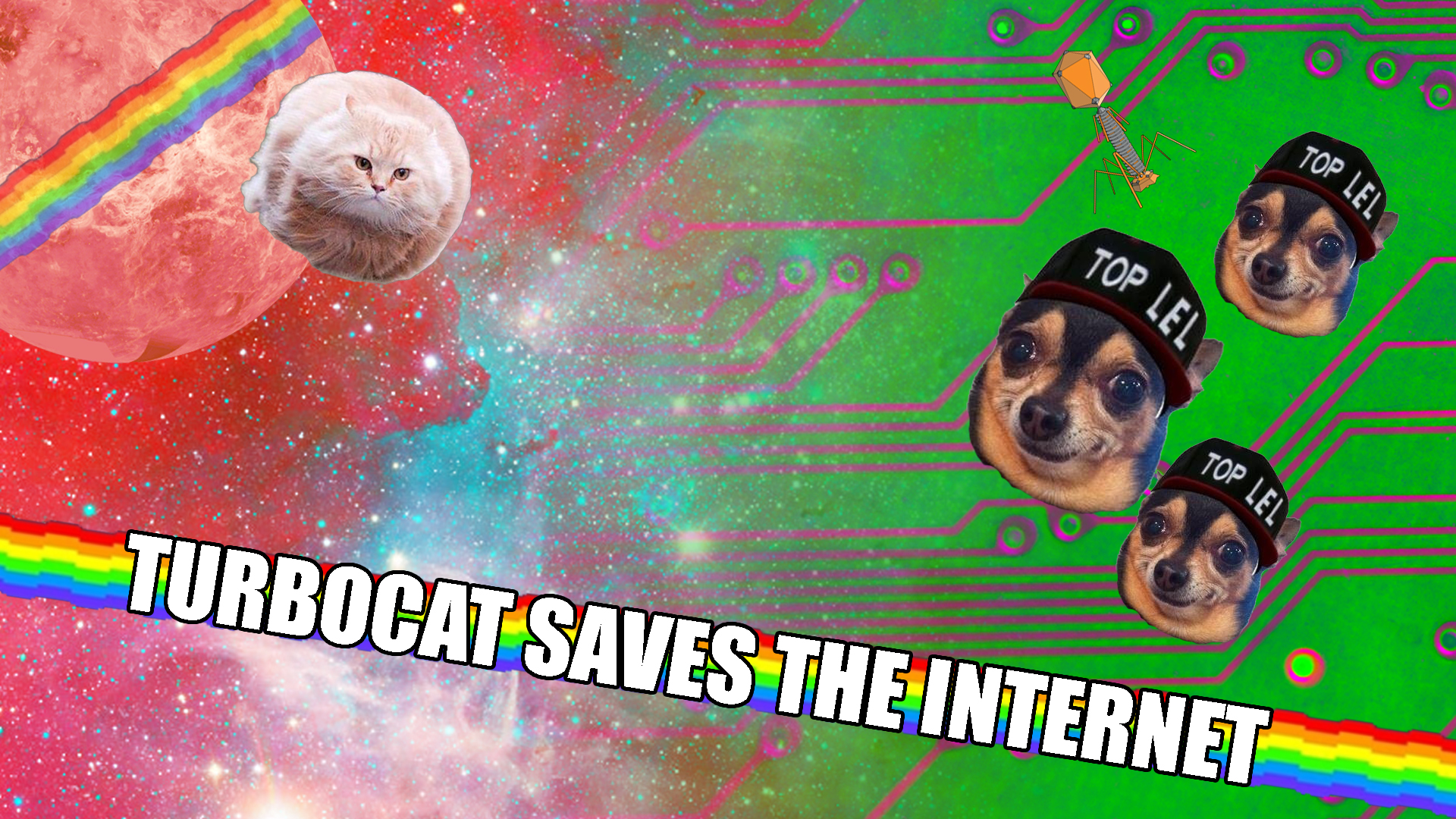 Turbocat Saves the Internet by PaulTheBod
