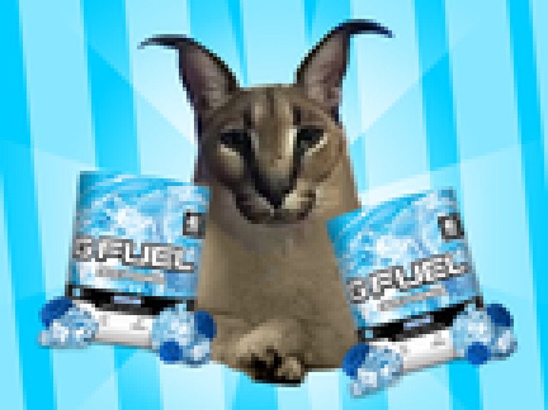 Floppa Life | UPDATE 0.9 by Usernaame