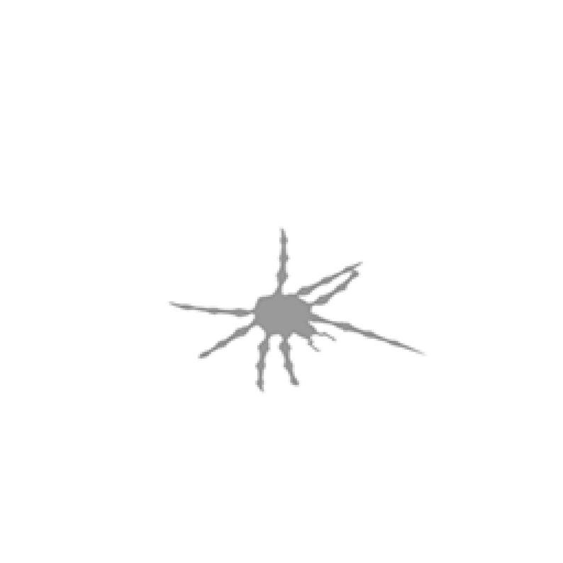 Free Animated Isometric Spider by Engvee
