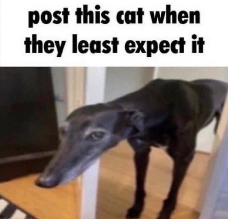 Unregistered Hypercam 2 (Green Screen App) by EwanDoggie