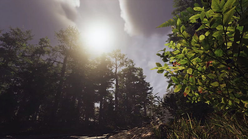 SPEED OF LIFE 3D by TOWI