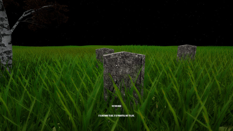 Russian Roulette: One Life by Omey Salvi