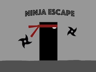 Ninja Escape by coryasthonz
