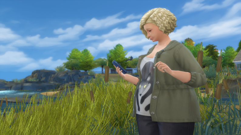 Fitness Controls for The Sims 4 by roBurky