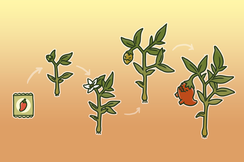 Full Farming Garden Game (Asset Pack) by Penzilla