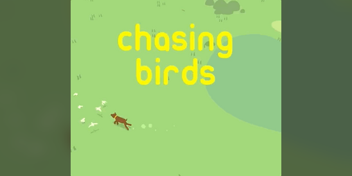 chasing birds by davidczar