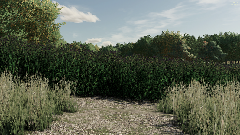 FS22 Real Alfalfa Textures by Antler22