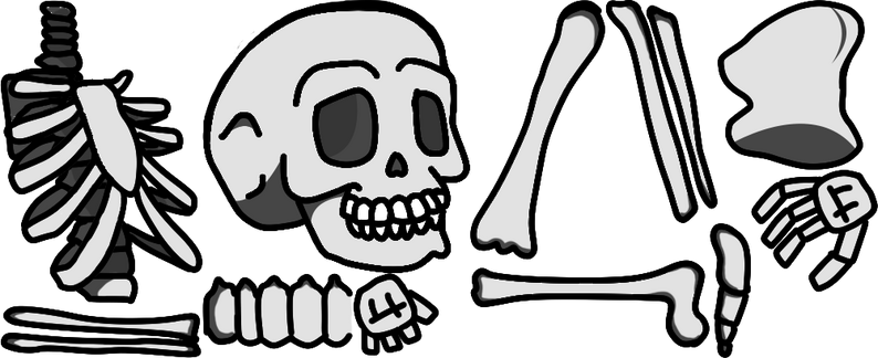 Cartoon Skeleton by Benny