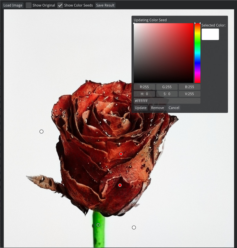 Interactive Photo Colorizer by samontab