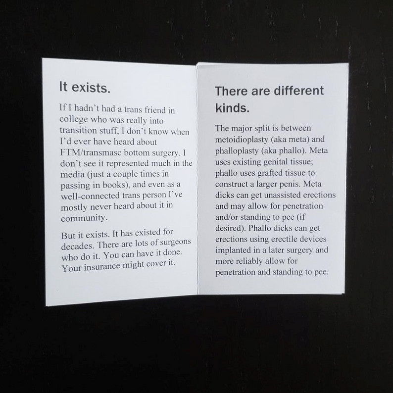 Zine - Things You Should Know About Transmasc Bottom Surgery by Birch Rosen