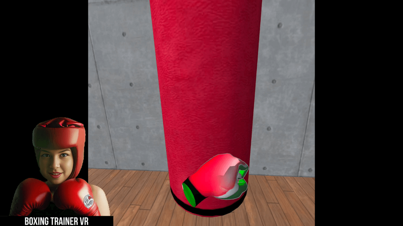 Boxing Trainer VR the Best VR Boxing Training Fitness Workout App for ...