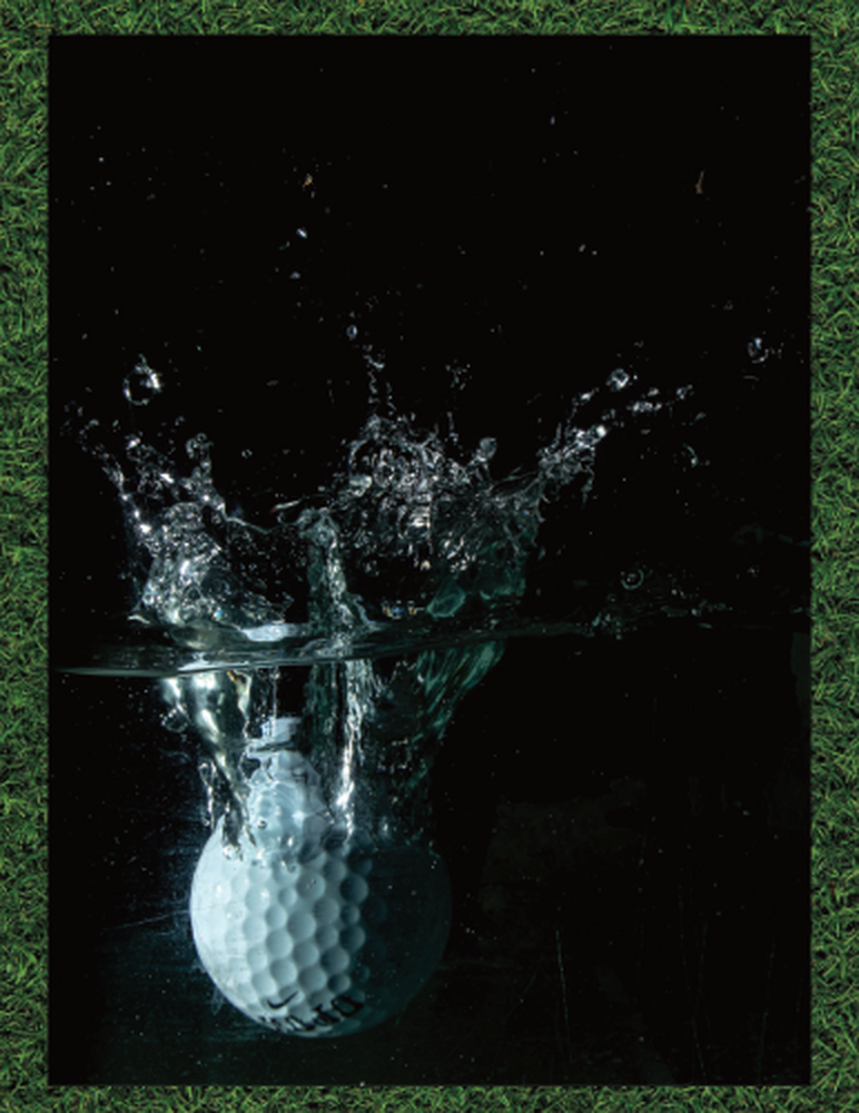 Condor Green by kumada1