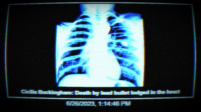 Fear Assessment by ALEXANDER WISEMAN