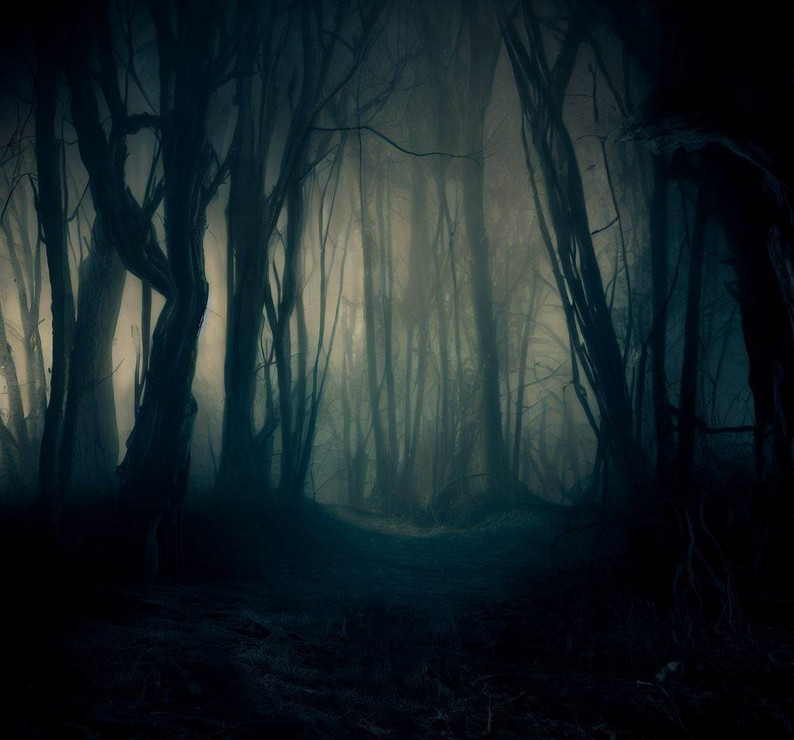 Horror Interior Backgrounds Free CC0 by The Outlander