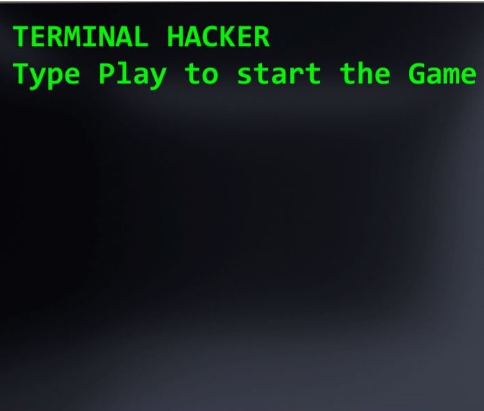Terminal Hacker - Expanded by GamesBySaul