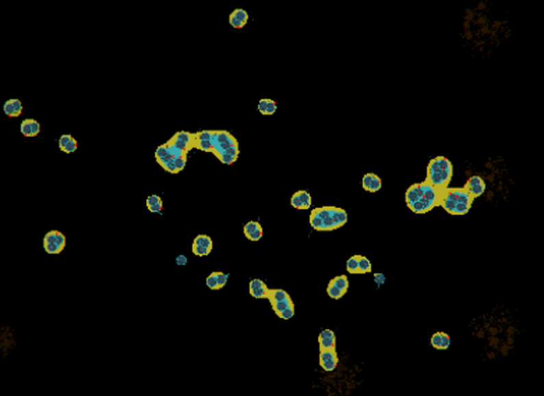 Evolution Theory by Spontaneous Simulations