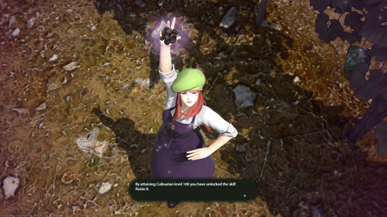 FFXIV System Dialogue Maker by Sebastian Scaini, F'ortuna Favore