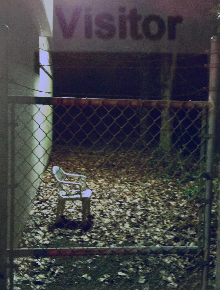 Lamezone Collection One by Cate Wurtz