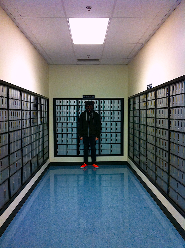 Lamezone Collection One by Cate Wurtz