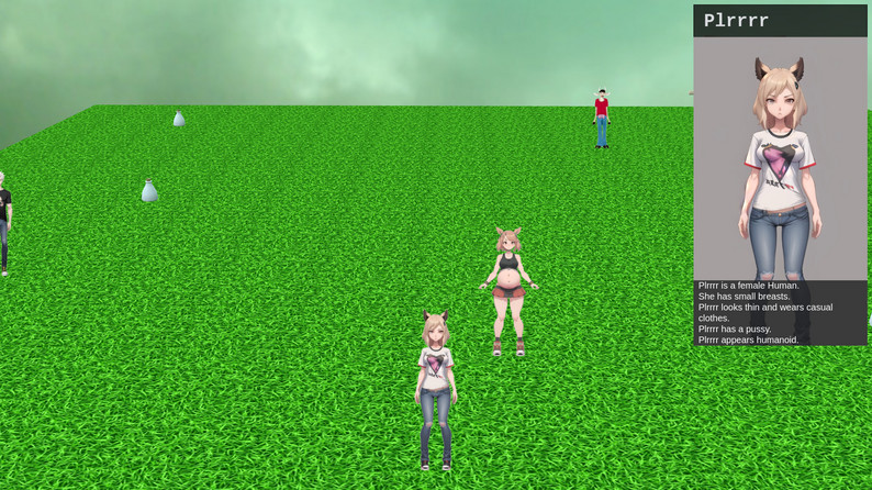 Transformation Simulator by SkyCorp