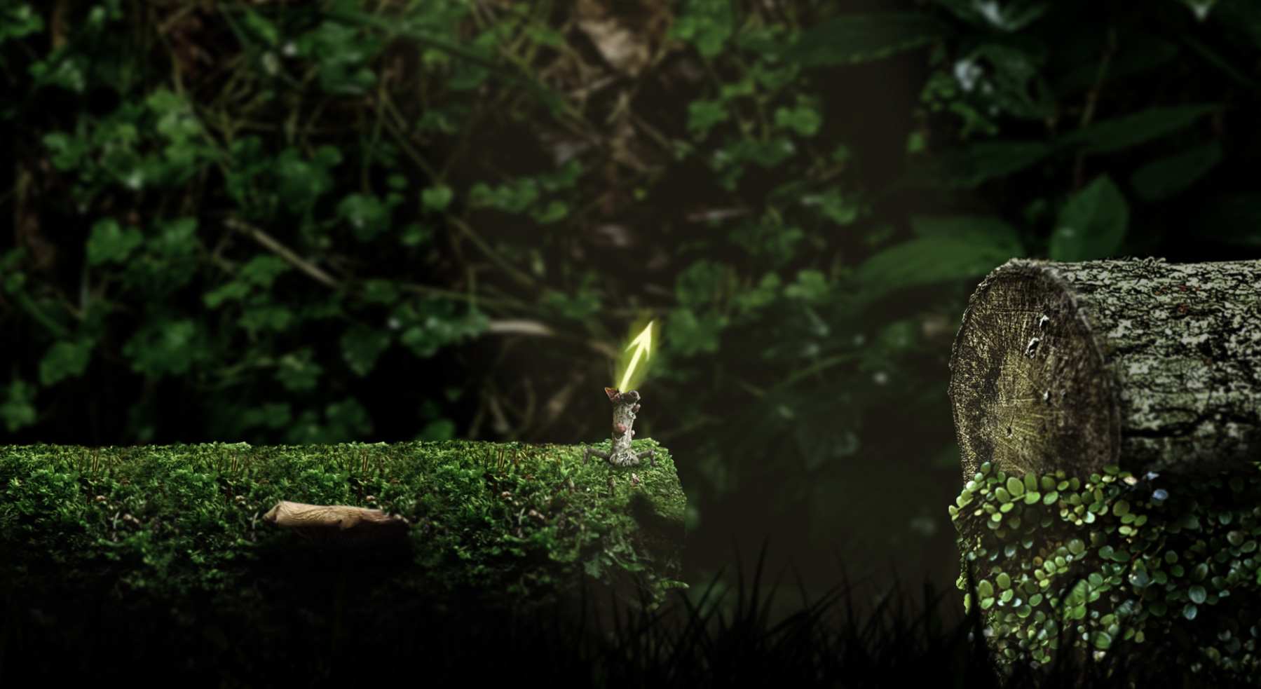 On the path to my first game - Seedling - Seedlings by Bardsley ...