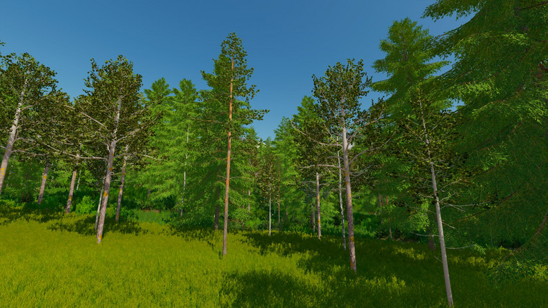 FS22 - Beaver Hollow by Squigglze